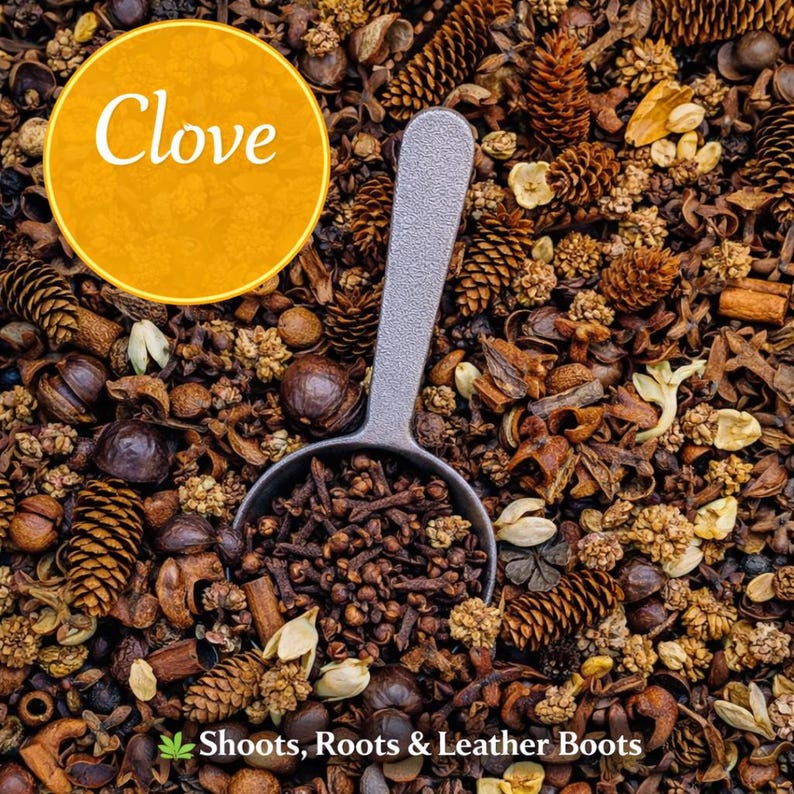 Clove Natural Handcrafted Potpourri • Rustic Bowl Filler • Botanical ...