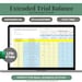 Extended Trial Balance Template: Excel File With Pivot Table - Etsy