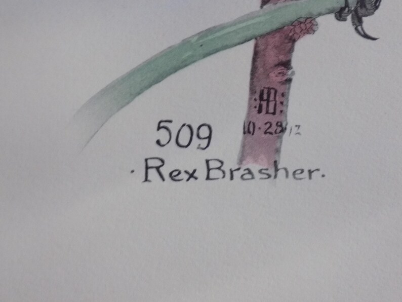 FREE SHIPPING!!!! Birds, Rex Brasher, Vintage, Hand Color, Plate 509 ...