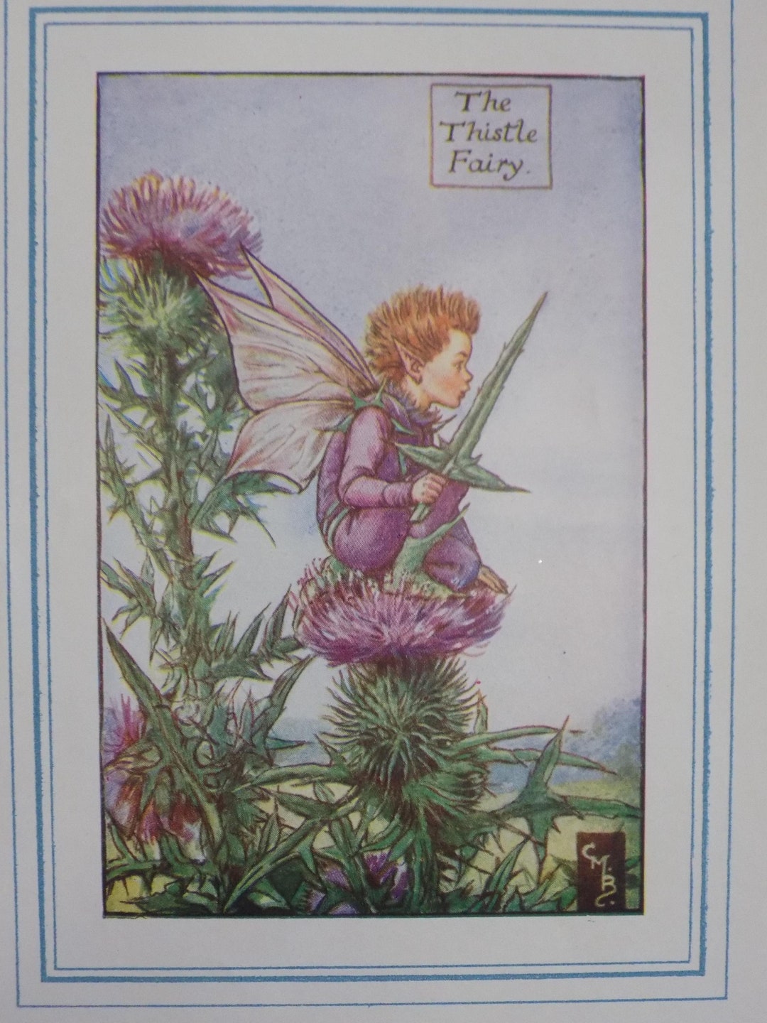 Flower Fairies, Thistle Fairy, Cicely Mary Barker, Vintage - Etsy
