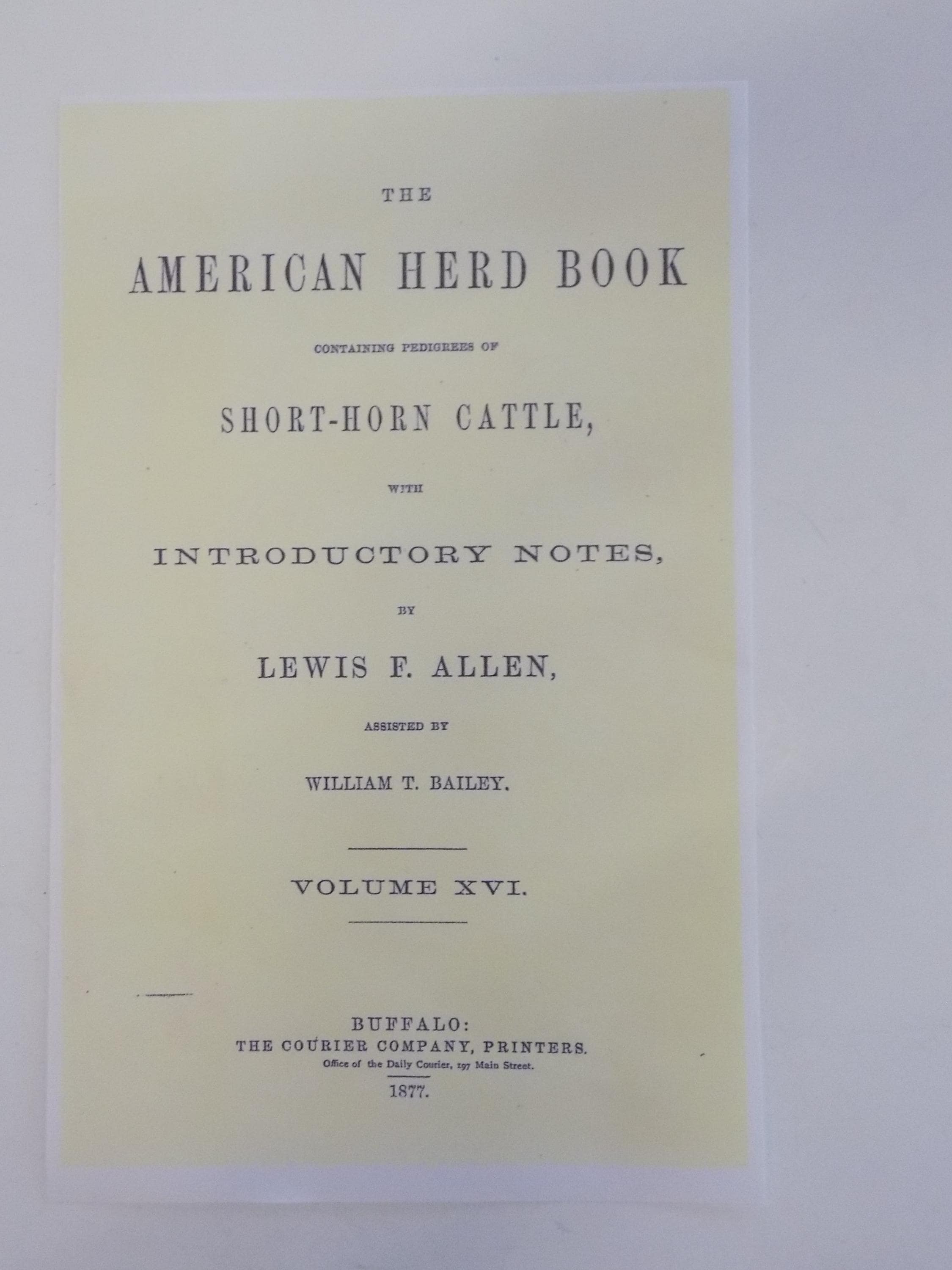 Cattle, Cows, Short-horn Cattle, Lewis F. Allen - Etsy