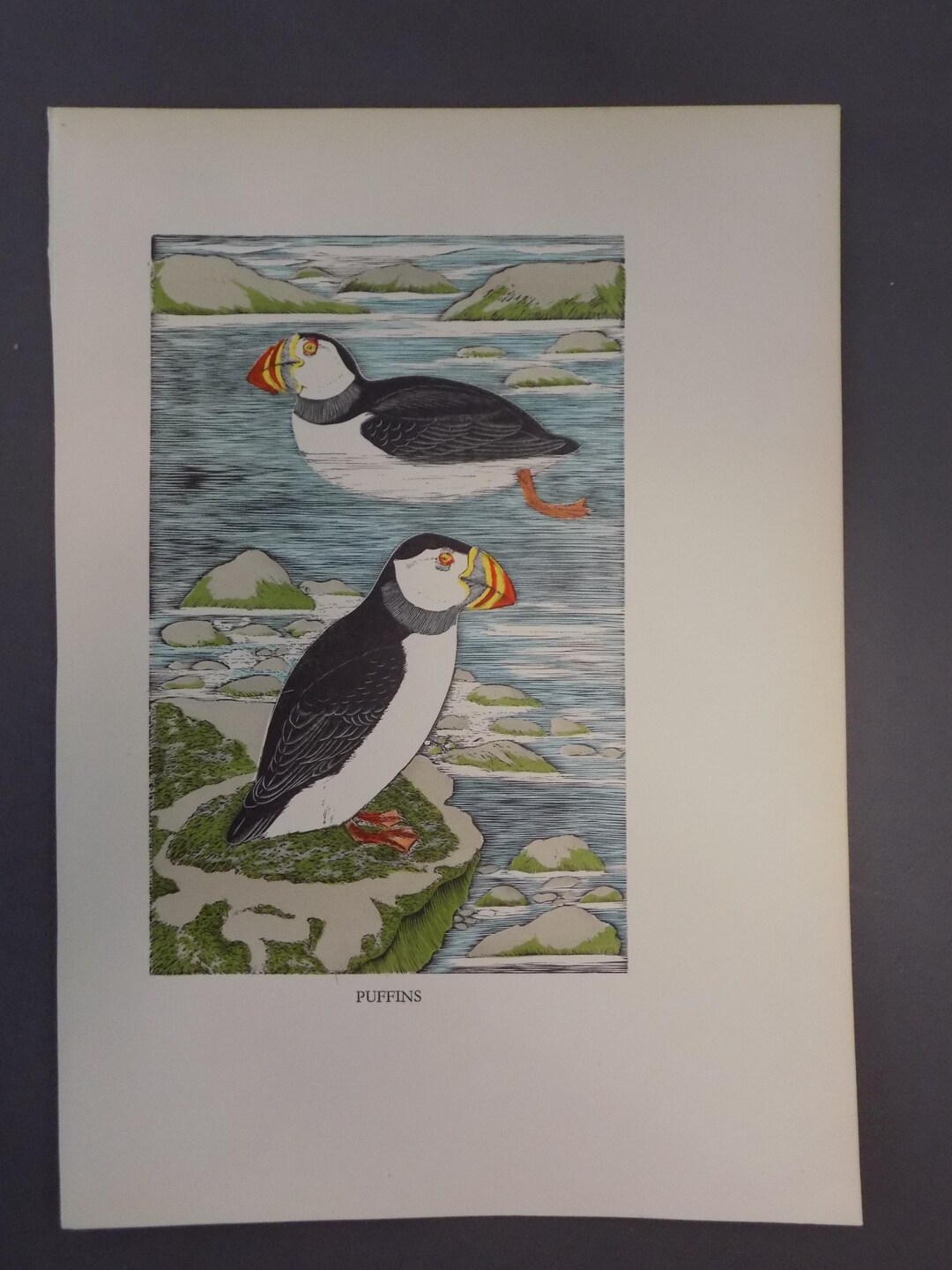 Birds, Eric Fitch Daglish, British Isles, Puffins - Etsy