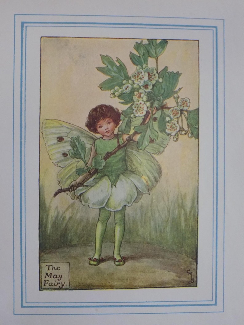 FREE SHIPPING!!!! Flower Fairies, May Fairy, Cicely Mary Barker ...