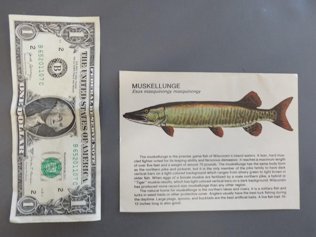 Miniatures, Fish, Fishing, Lake, Fisherman, Vintage - Etsy