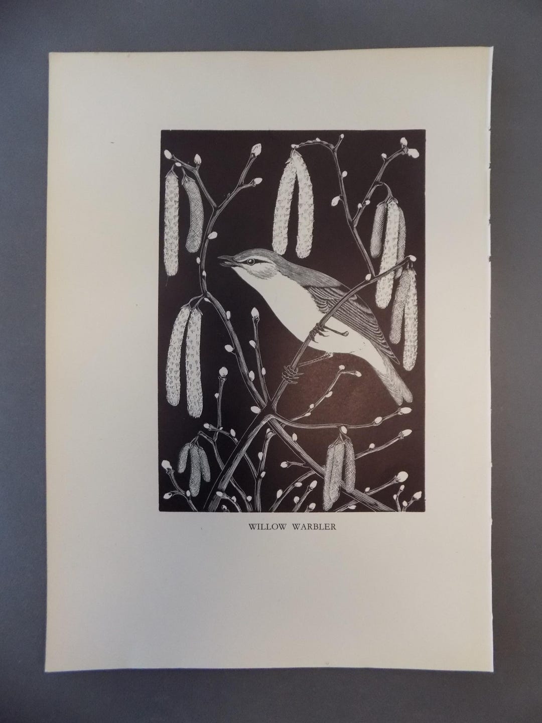 FREE SHIPPING!!!! Birds, Eric Fitch Daglish, British Isles, Willow ...