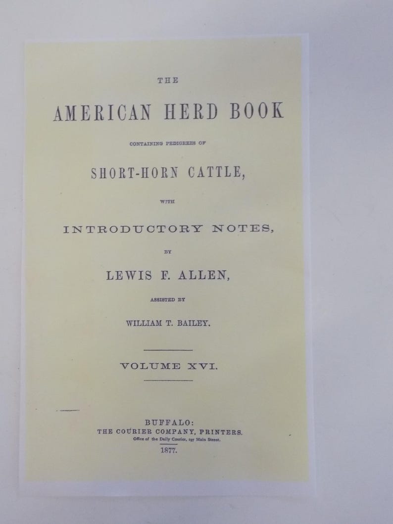 Cattle, Cows, Short-horn Cattle, Lewis F. Allen - Etsy