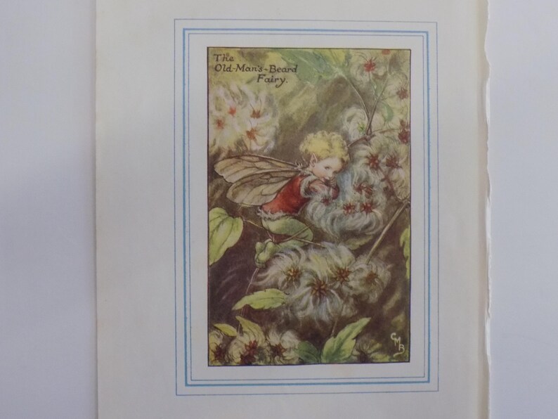 FREE SHIPPING!!!! Flower Fairies, Old-man's-beard Fairy, Cicely Mary ...
