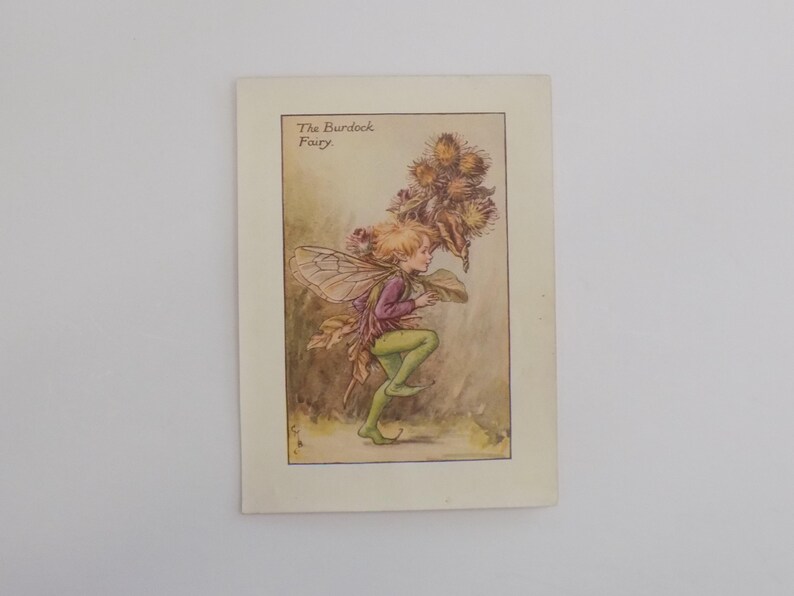FREE SHIPPING!!!! Flower Fairies, Burdock Fairy, Cicely Mary Barker ...
