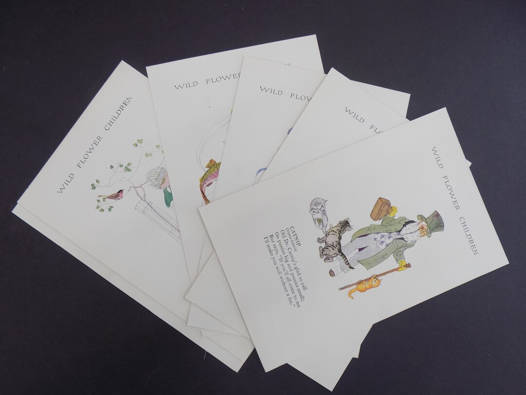 Wildflower Children, Elizabeth Gordon, Jane Scott - Etsy