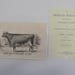 Cattle, Cows, Short-horn Cattle, Lewis F. Allen - Etsy