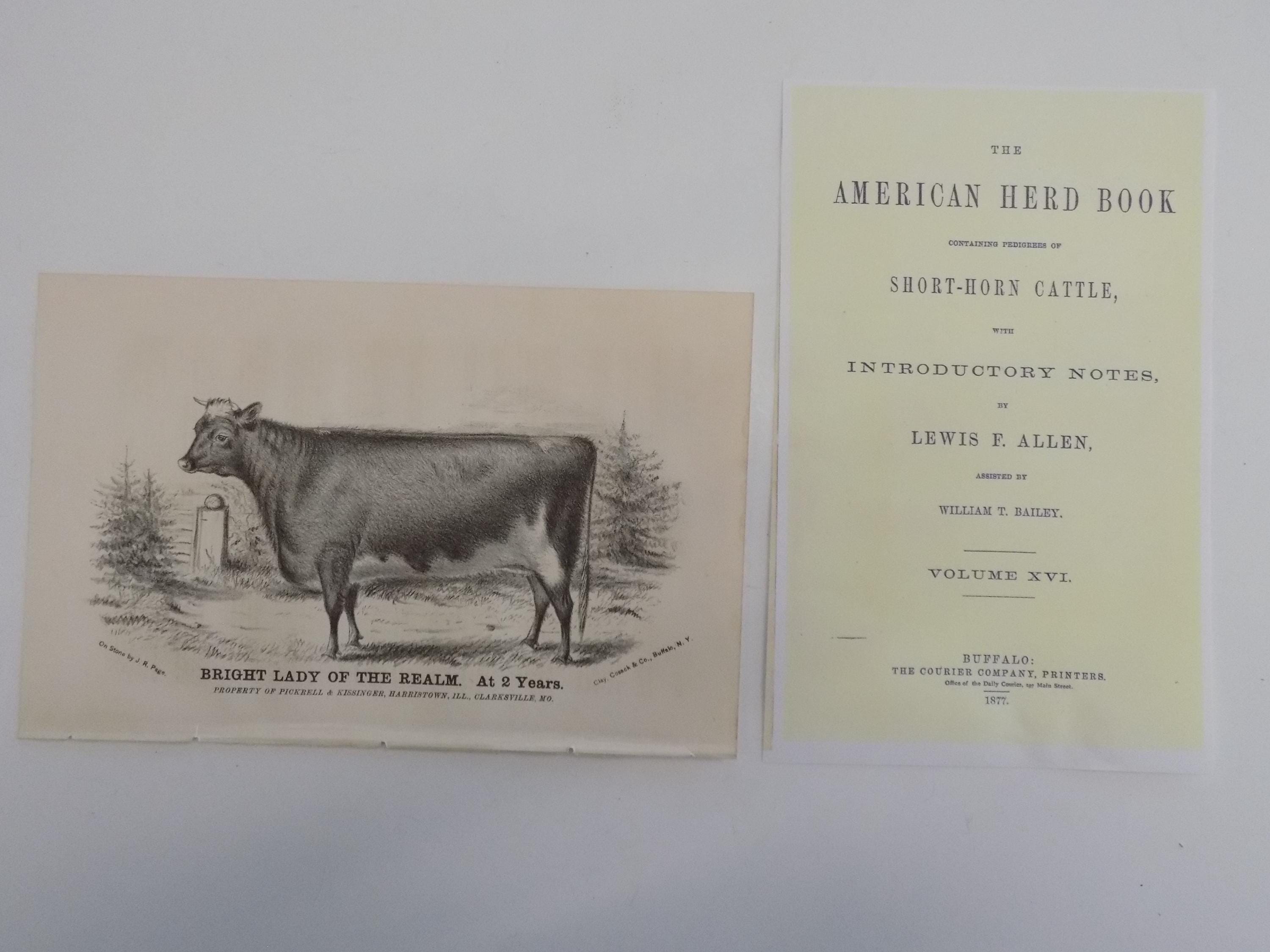 Cattle, Cows, Short-horn Cattle, Lewis F. Allen - Etsy
