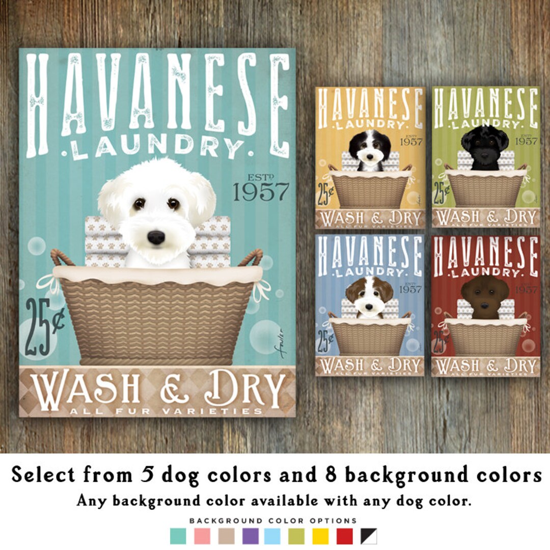 Havanese, Dog, Laundry, Soap, Bubbles, Cleaning, Laundry Room, Sign ...