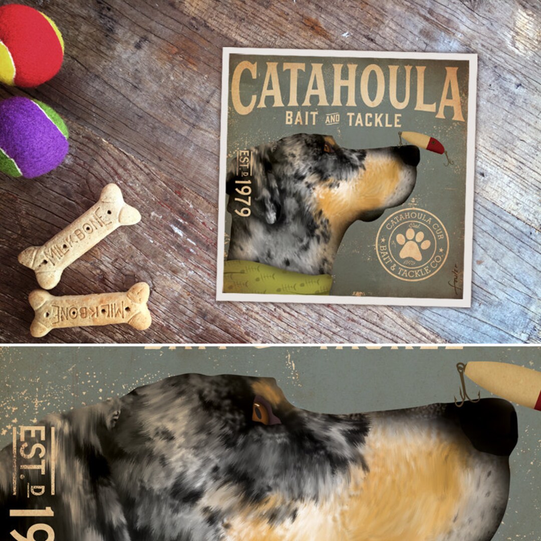 Catahoula Cur Leopard Dog Bait and Tackle Lure Company Illustration ...