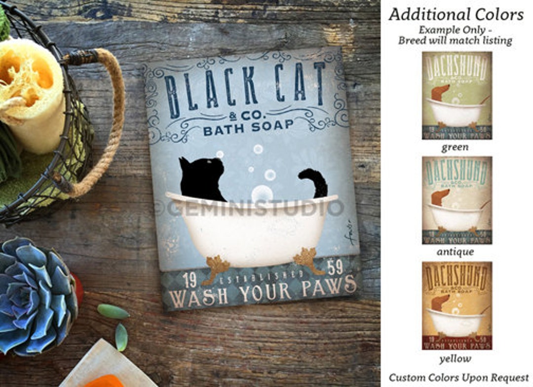 Black Cat, Feline, Bath, Bath Tub, Clawfoot Tub, Soap, Bubble, Powder ...