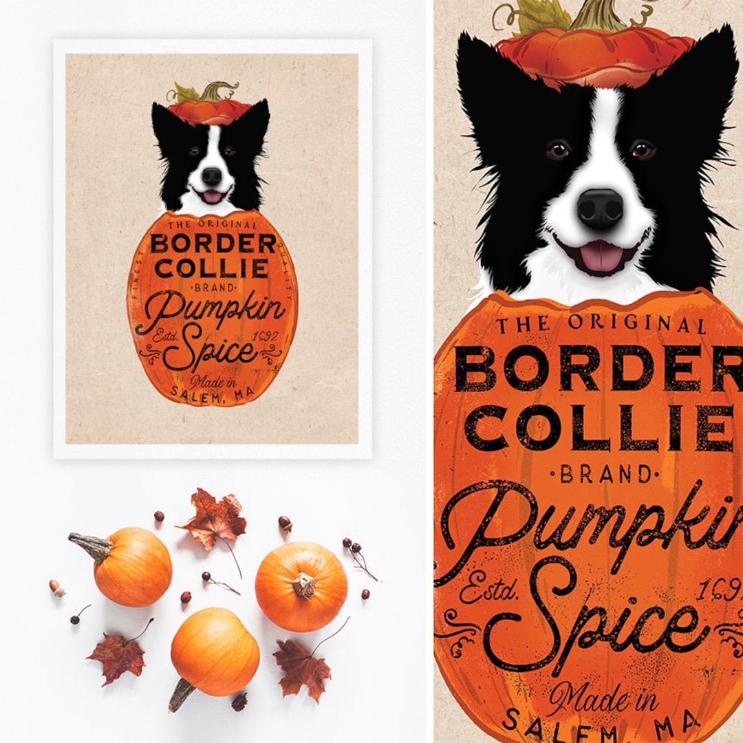 Border Collie, Art, Artwork, Dog, Halloween, October, Pumpkin, Autumn ...