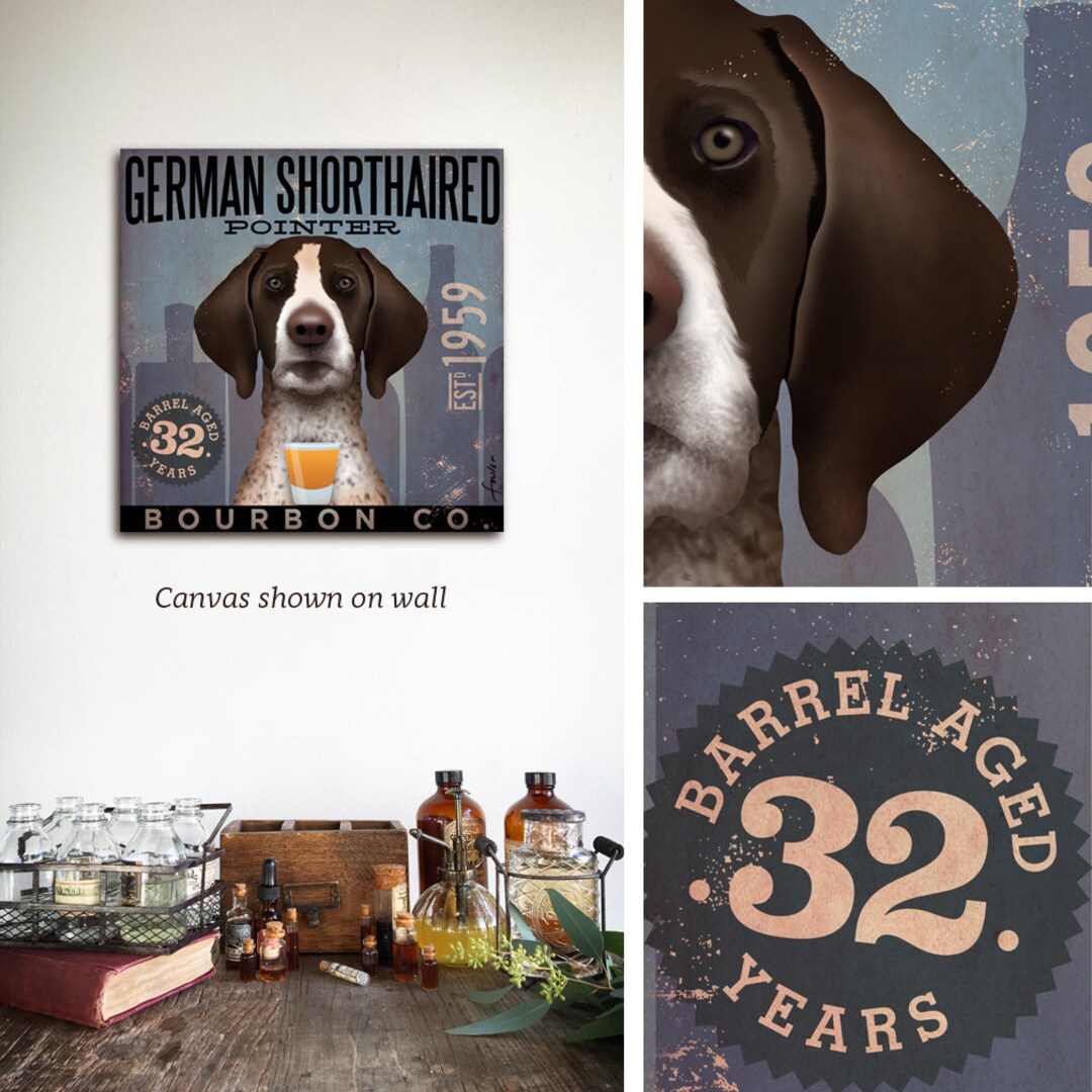 Gsp, German Shorthaired Pointer, Dog, Pointer, Bourbon, Whisky, Whiskey ...