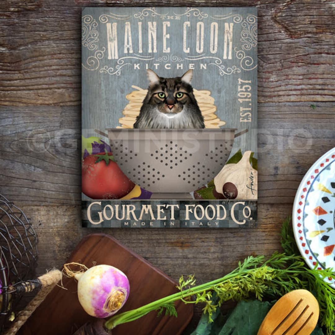 Maine Coon Kitchen Chef Foodie Cooking Colander Cat - Etsy
