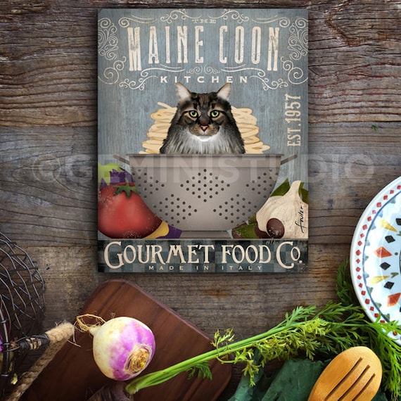 Maine coon kitchen chef foodie cooking colander cat | Etsy