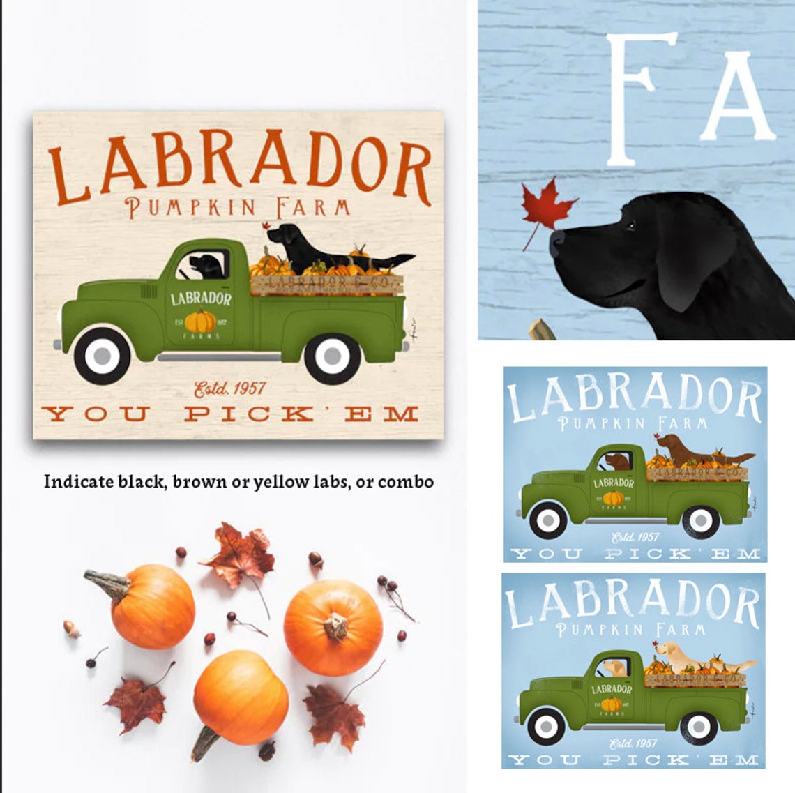 Lab Labrador Black Lab Dog Pumpkins Pumpkin Fall - Etsy