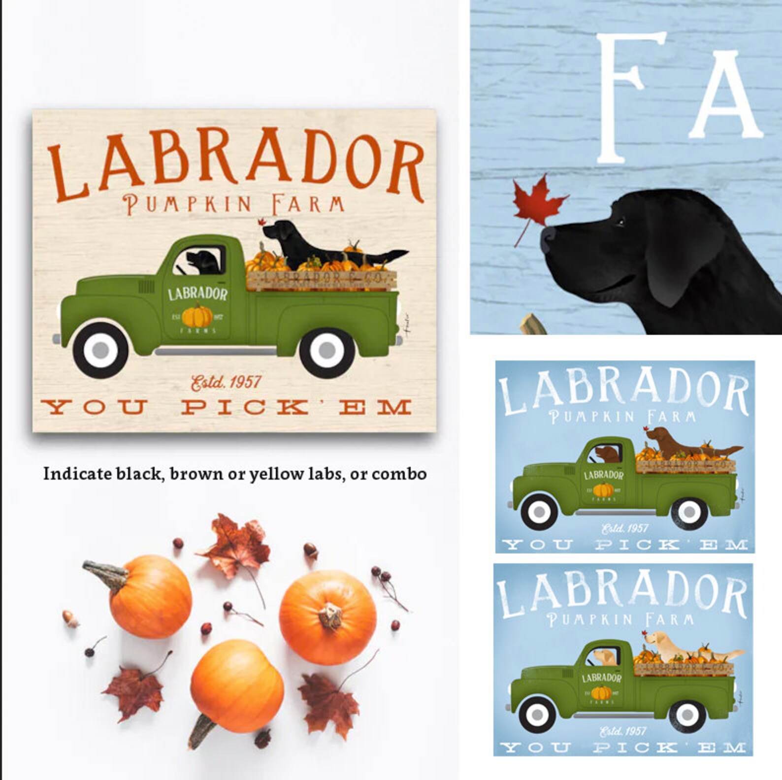 Lab Labrador Black Lab Dog Pumpkins Pumpkin Fall - Etsy