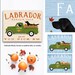 Lab, Labrador, Black Lab, Dog, Pumpkins, Pumpkin, Fall, Autumn, Truck ...