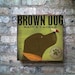 Brown Dog, Lab, Labrador, Chocolate Lab, Fishing, Angler, Lure ...