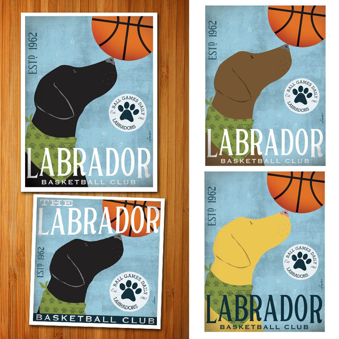 Lab, Labrador, Black, Brown Dog, Yellow Lab, Chocolate, Basketball ...
