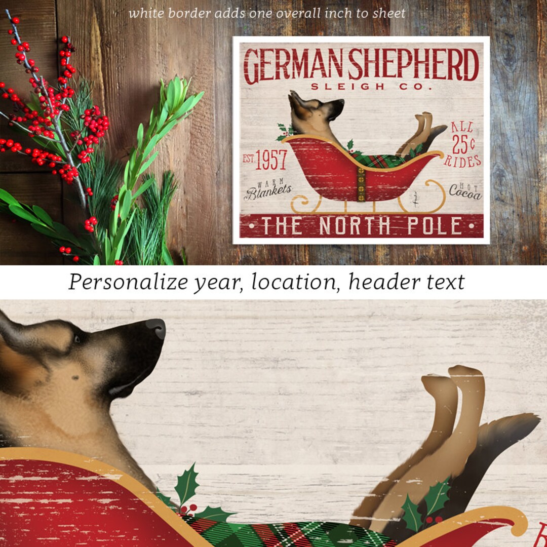 German Shepherd, Gsd, Dog, Sleigh, Sleigh Rides, Christmas, Winter ...