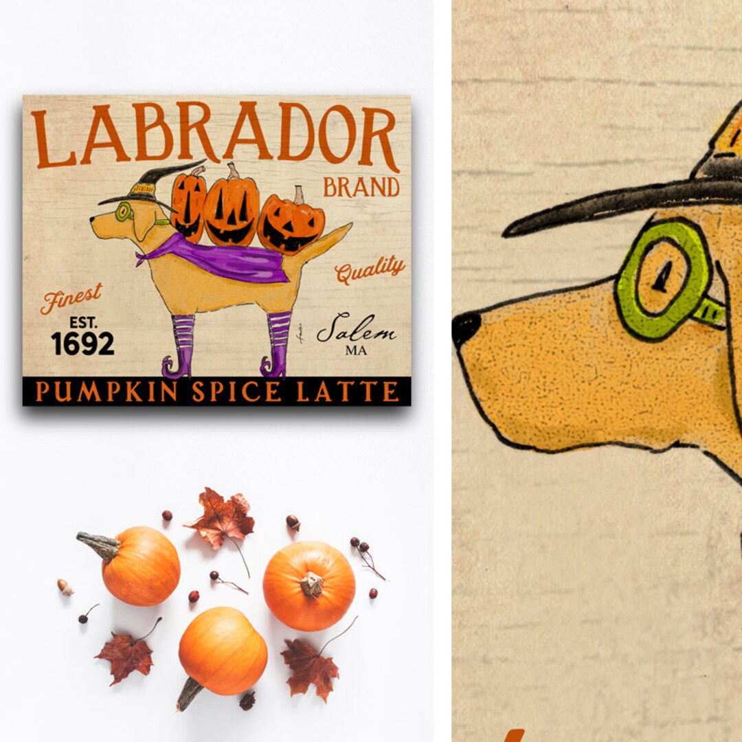 Lab, Labrador, Dog, Yellow Dog, Witch, Halloween, October, Pumpkin ...