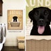 Labrador Lab Dog Black Lab Laundry Company Basket Illustration Graphic ...