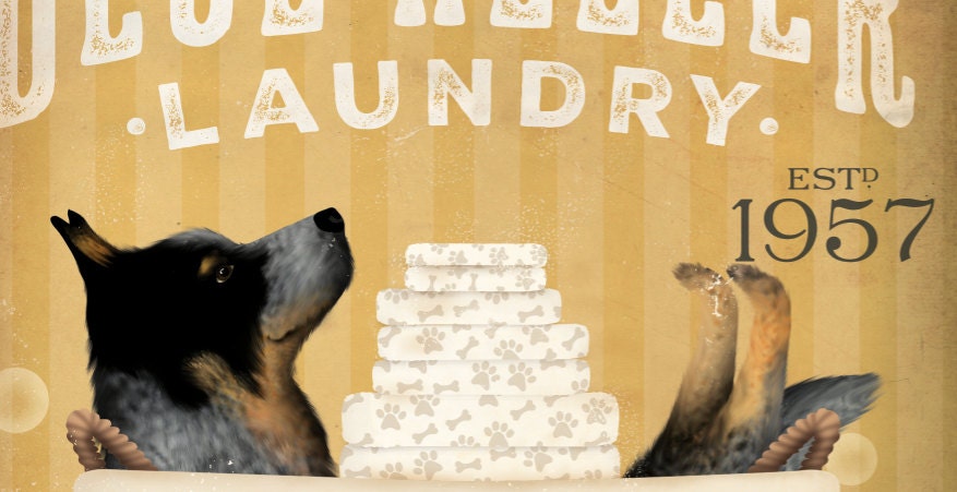 Blue Heeler, Australian, Cattle, Dog, Laundry, Basket, Towels, Wash ...