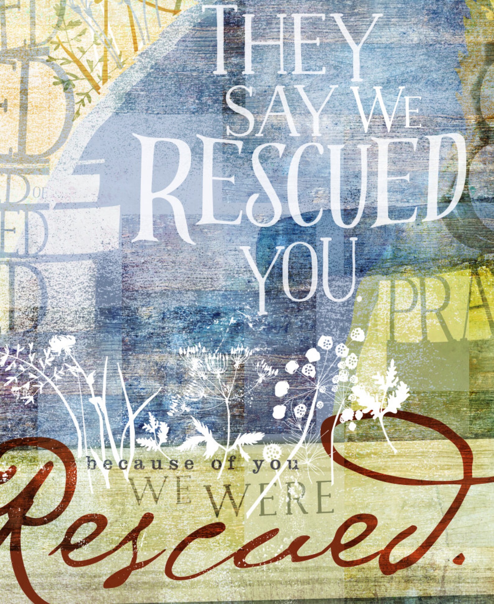 Rescue Dog Art Artwork on Gallery Wrapped Canvas by Stephen - Etsy