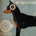 Min Pin Records Miniature Pinscher Album Style Graphic Artwork on ...