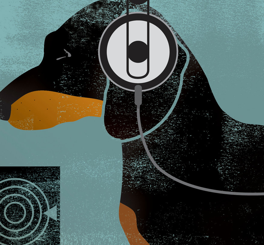 DACHSHUND dog records album style artwork graphic illustration | Etsy