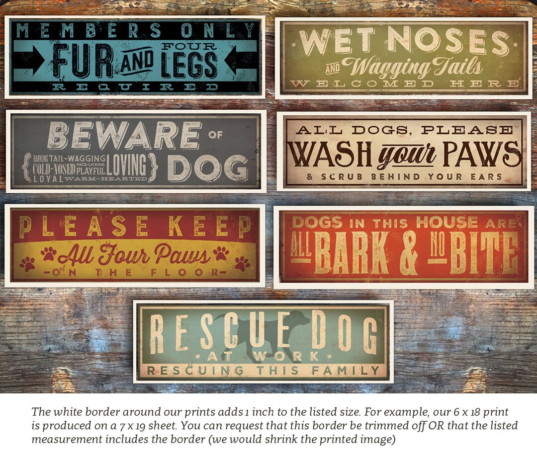Dog Signs, Graphc Signs, Text, Typography Sign, Rescue Dog, Wash Paws ...