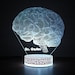 Brain Lamp Neurologist Gift Brain Light Gift for Neurologist 3D Brain ...