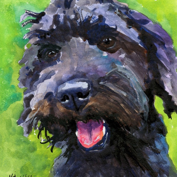 Schnoodle - Etsy