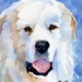 Great Pyrenees Art Print of Original Watercolor Painting 11x14 - Etsy