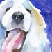 Great Pyrenees Art Print of Original Watercolor Painting | Etsy