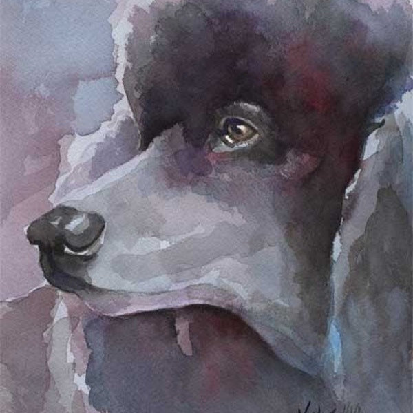 Poodle Art Print - Etsy