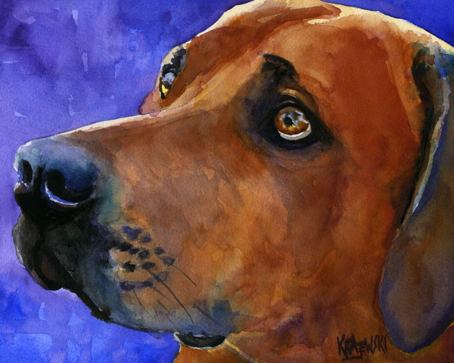 Rhodesian Ridgeback Art Print of Original Watercolor Painting - Etsy