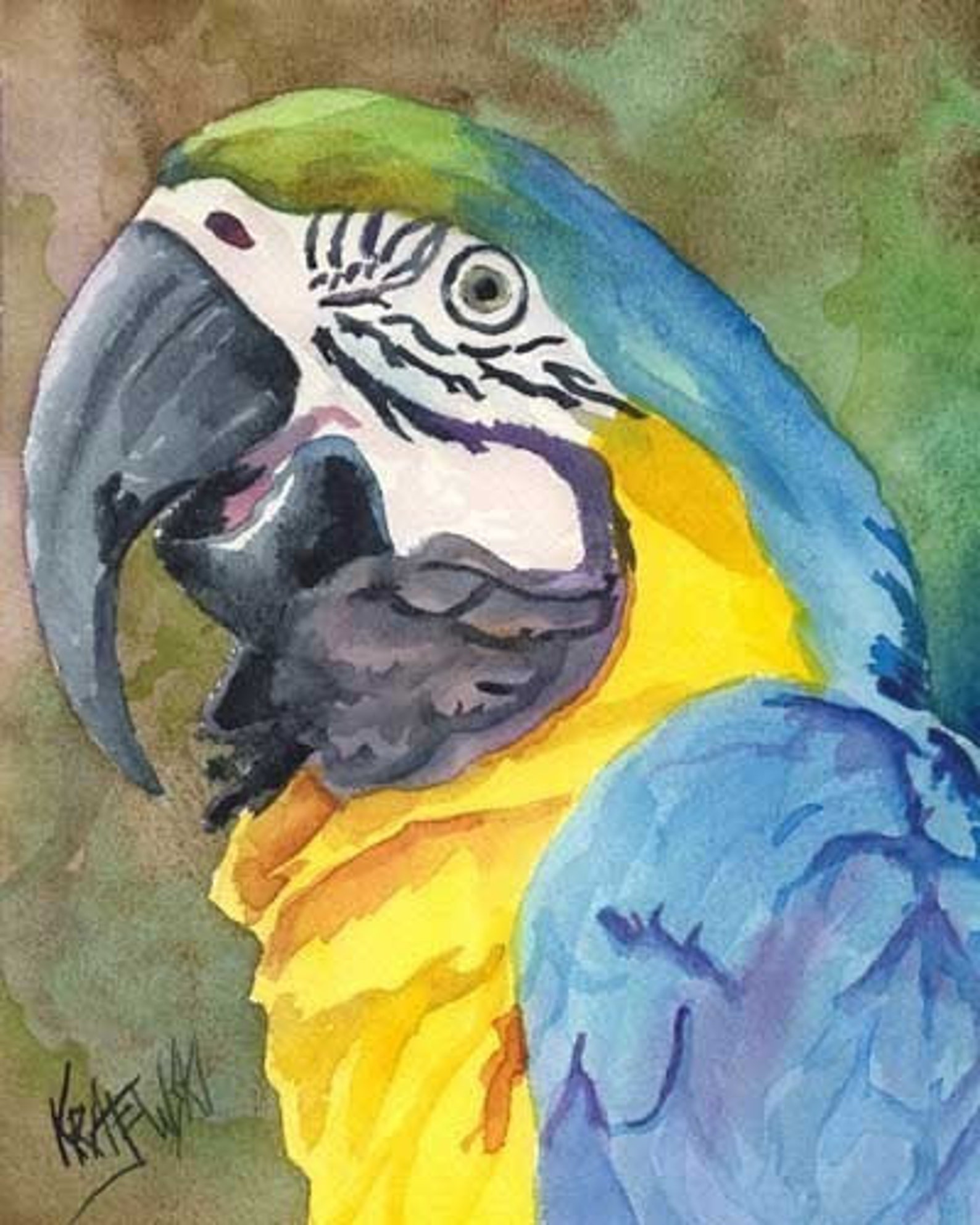 Macaw Art Print of Original Watercolor Painting 8x10 - Etsy