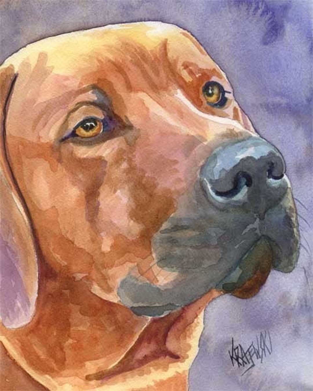 Rhodesian Ridgeback Art Print of Original Watercolor Painting - Etsy