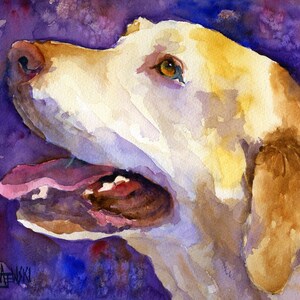 Yellow Lab Painting Labrador Retriever Art Print of - Etsy