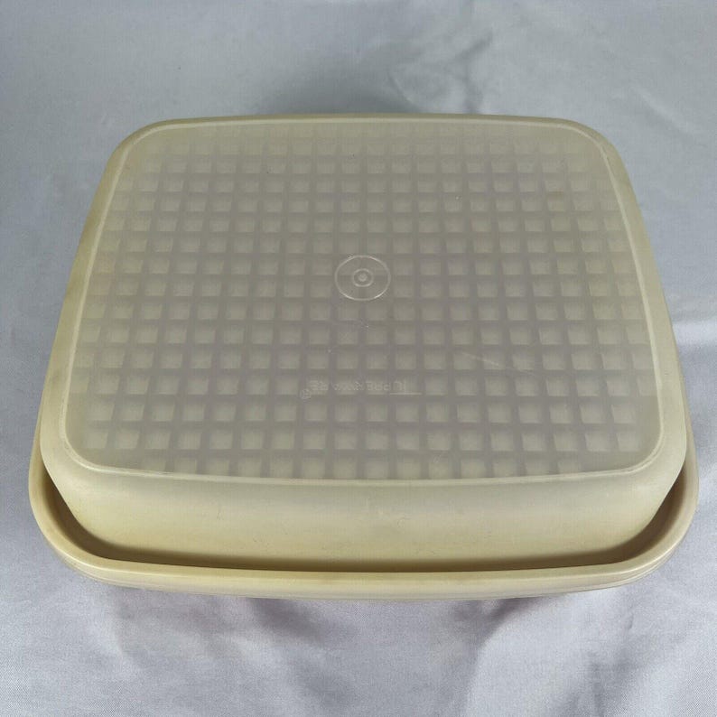 Vintage Tupperware Large Meat Marinade Tenderizer Keeper Container ...