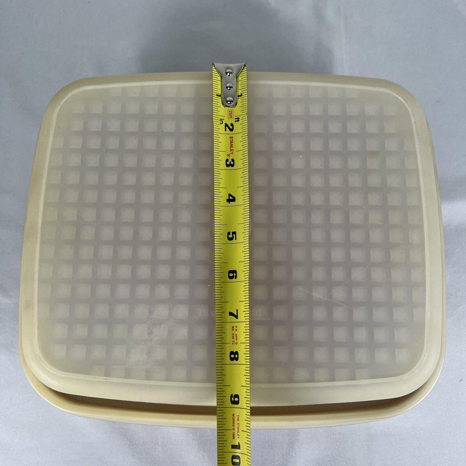 Vintage Tupperware Large Meat Marinade Tenderizer Keeper Container ...