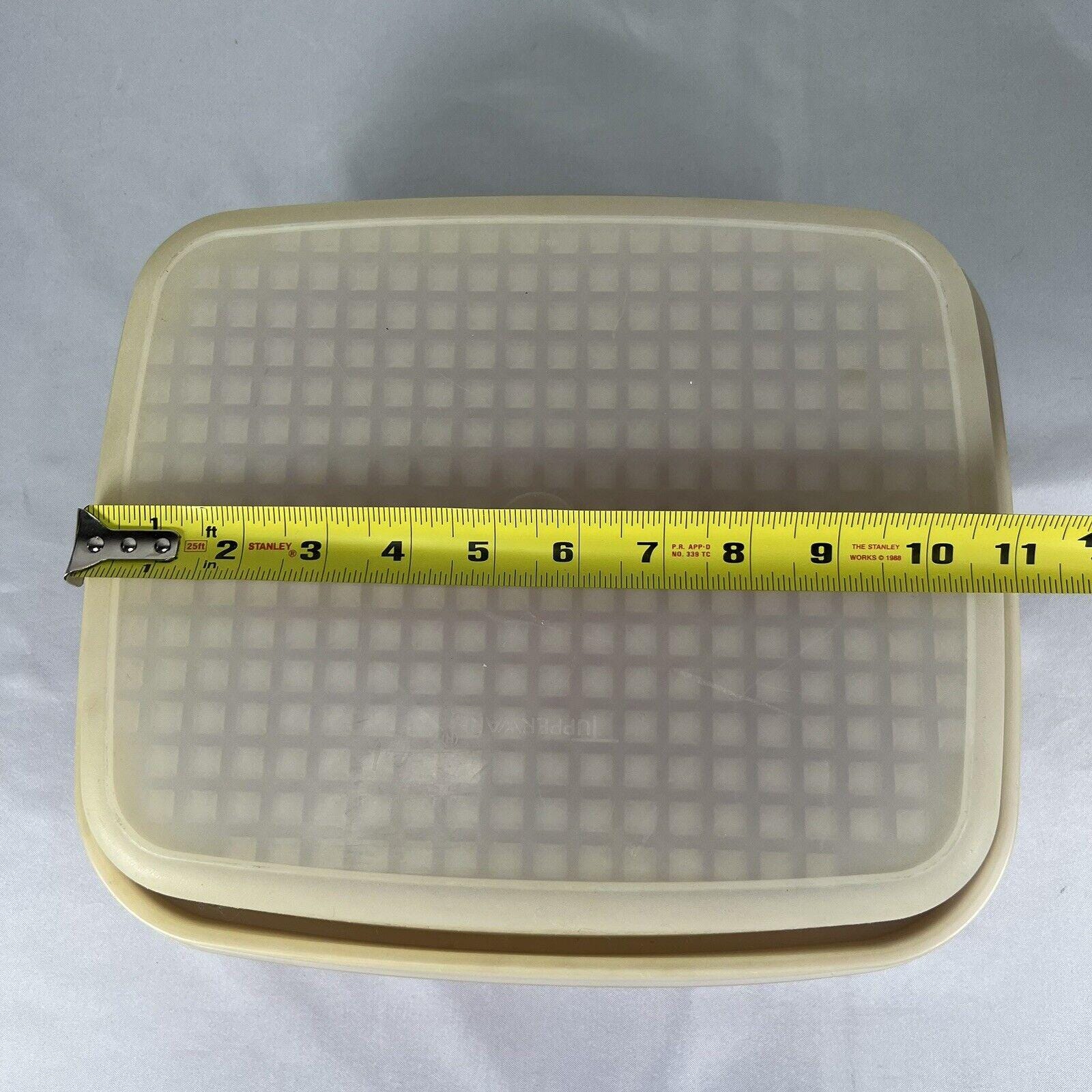 Vintage Tupperware Large Meat Marinade Tenderizer Keeper Container ...