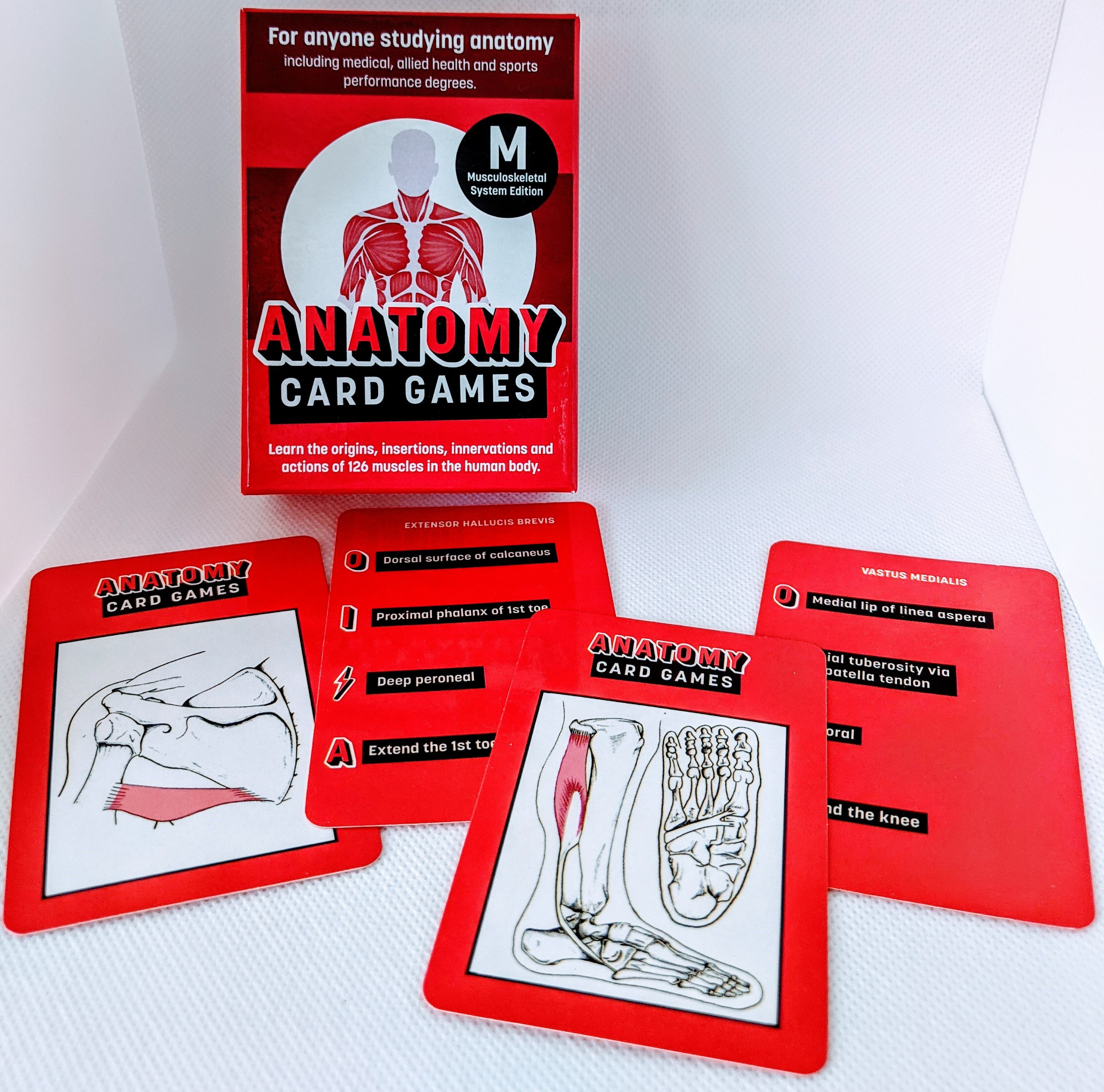 Musculoskeletal Anatomy Flashcards Learn Origins, Insertions ...