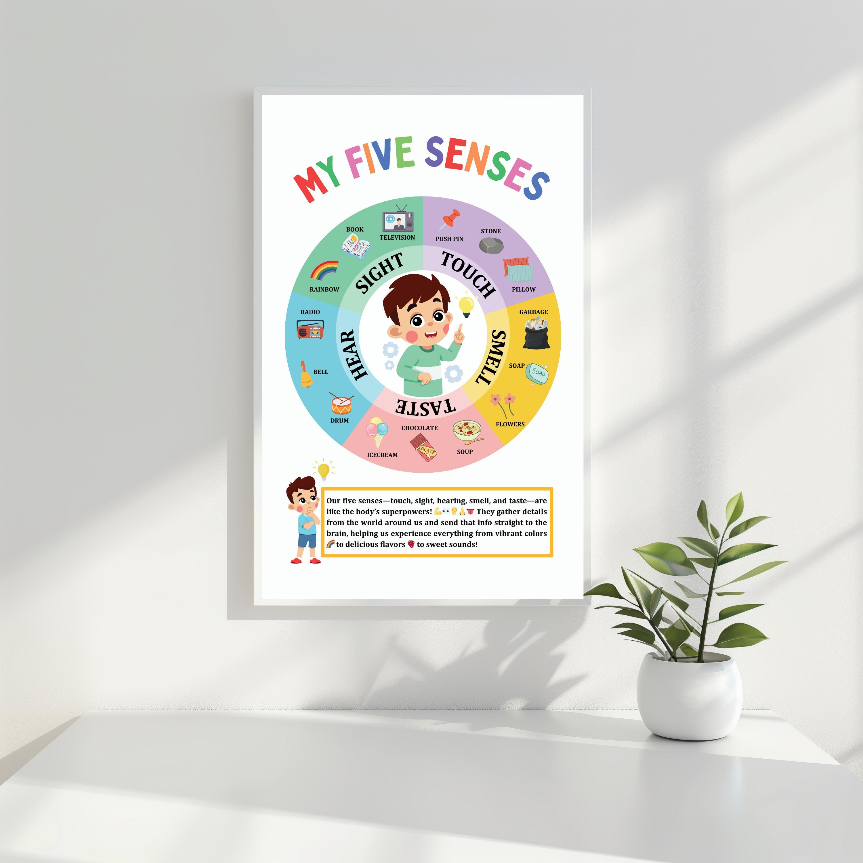 Five Senses Poster, Educational Poster Printable, Teaching Resource ...