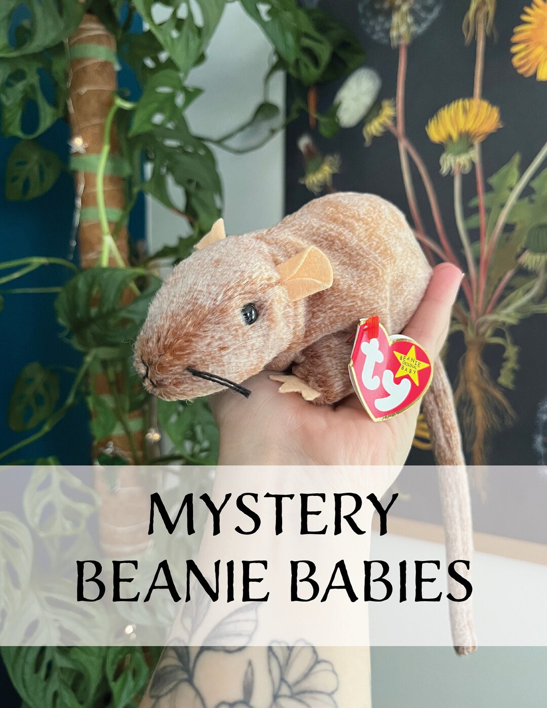 Ty Beanie Babies Surprise Packages - Etsy